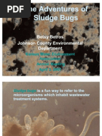 Activated Sludge Microorganisms | PDF | Sewage Treatment | Bacteria
