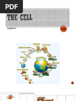 W3 - NOTES - Q2 - G7SCIENCE Unicellular and Multicellular Organisms ...