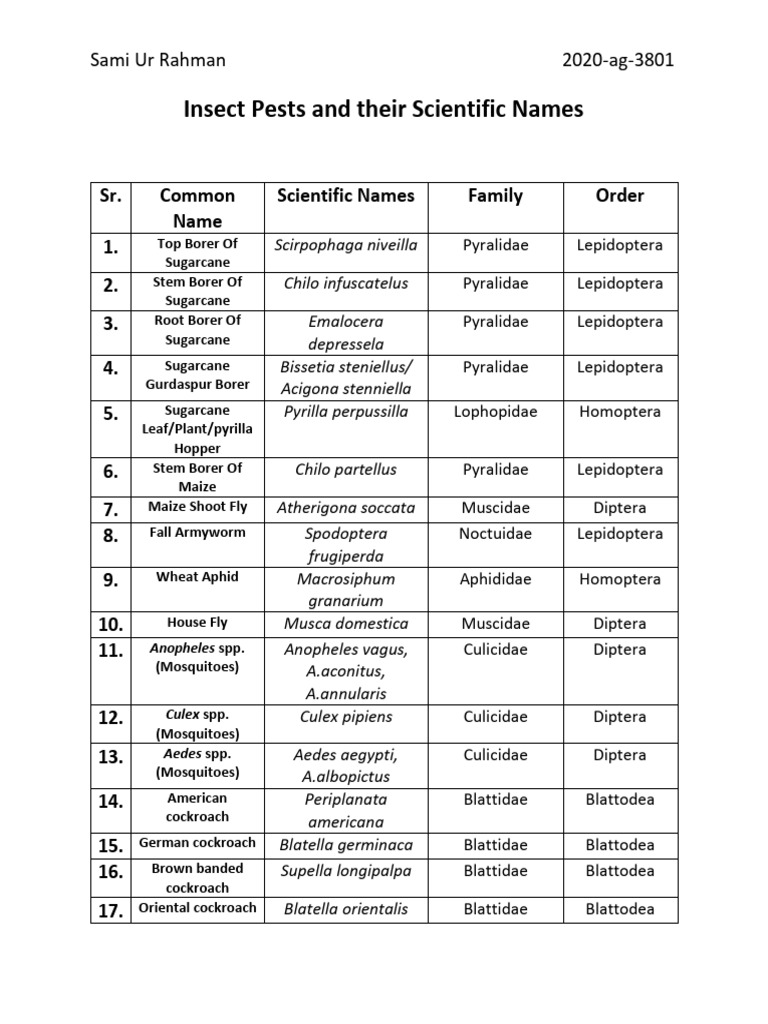 All Insect Pests of Ento | PDF | Lepidoptera | Fly