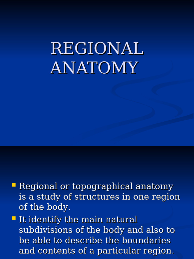 1 Regional Anatomy | PDF | Arm | Human Anatomy