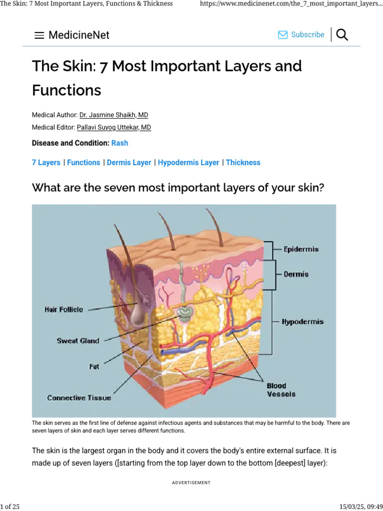 The Skin - 7 Most Important Layers, Functions & Thickness | PDF | Skin ...