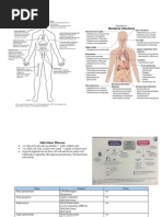 Infectious Disease Bug-Drug Chart | PDF | Medical Treatments | Antibiotics