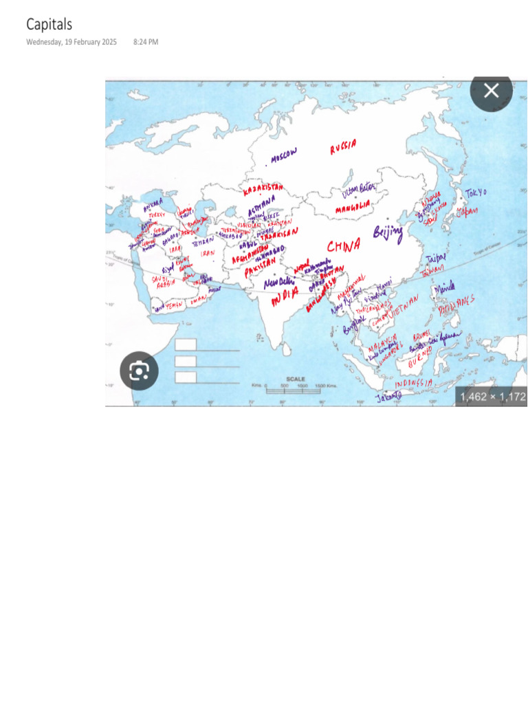 Capitals Overview and Insights | PDF