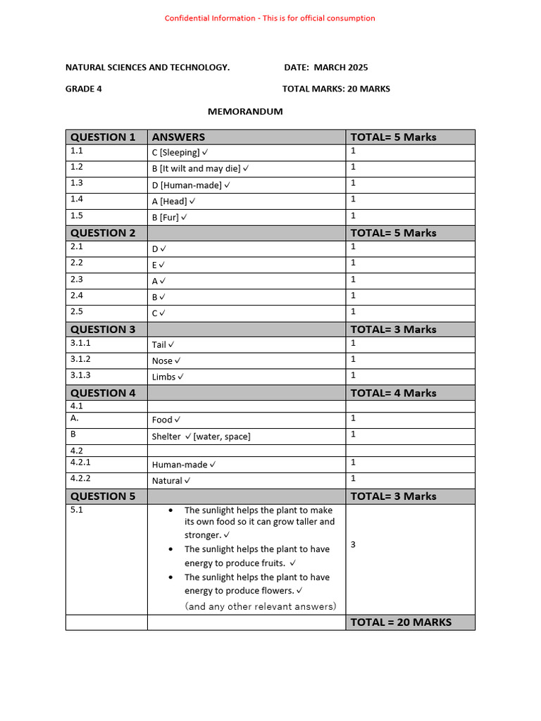 Grade 4 Memo Nstech 2025 Term1 | PDF | Plants | Botany