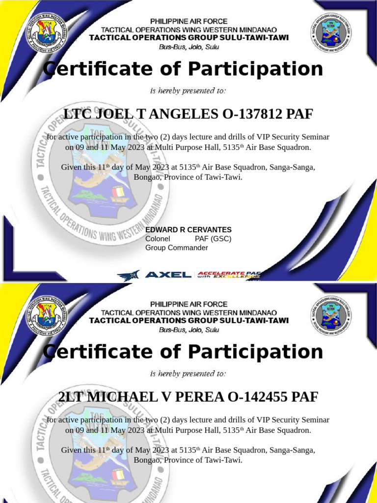 VIP Security Seminar Participation Certificates | PDF | Educational ...