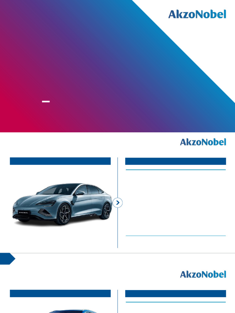 BYD – Colors 2023 | PDF