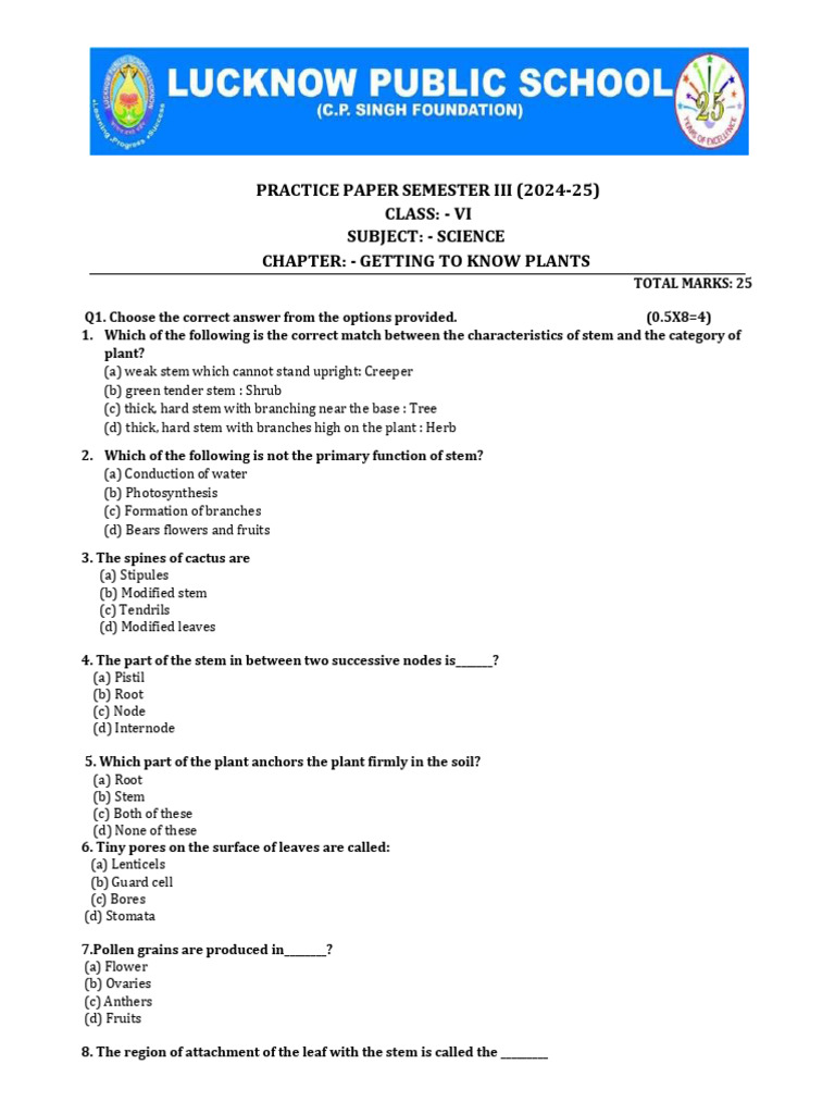 VI Science Revision Paper 3 | PDF | Leaf | Flowers