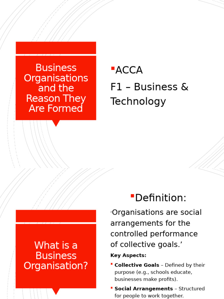 L1 Business Organisations | PDF | Partnership | Sole Proprietorship