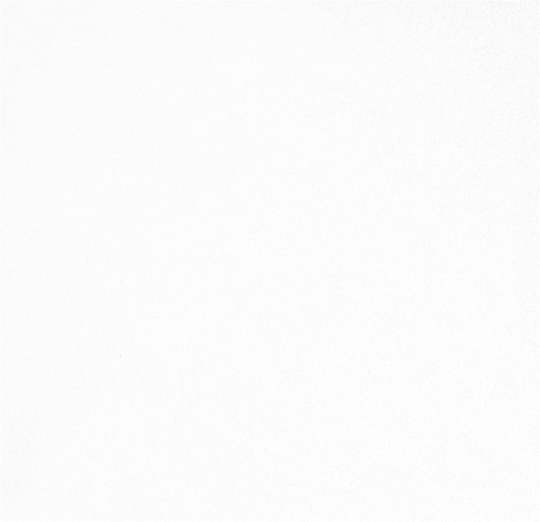 White PDF | PDF