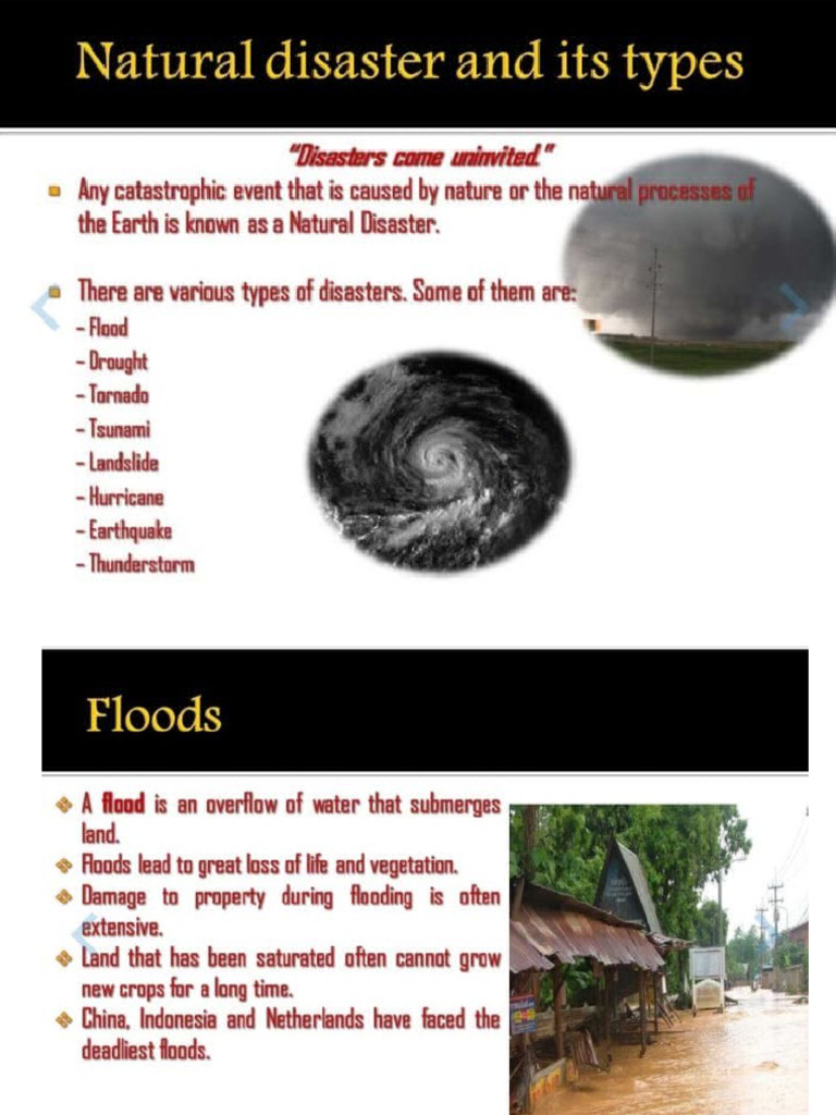 Natural Disasters | PDF