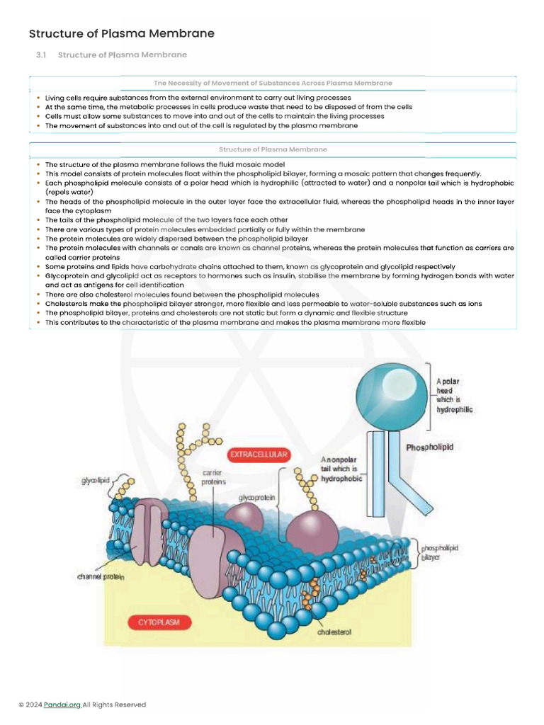 Form 4 - Chapter 3 Movement of Substances Across A Plasma Membrane | PDF