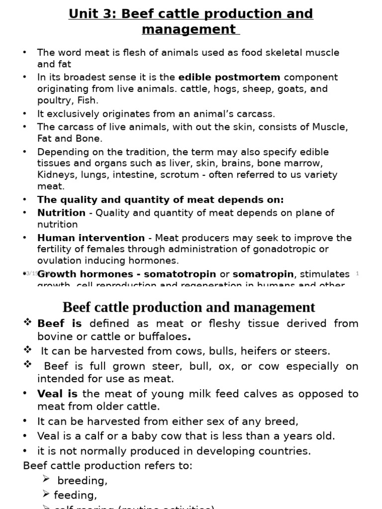 Beef Cattle Production and Management Guide | PDF | Meat | Cattle