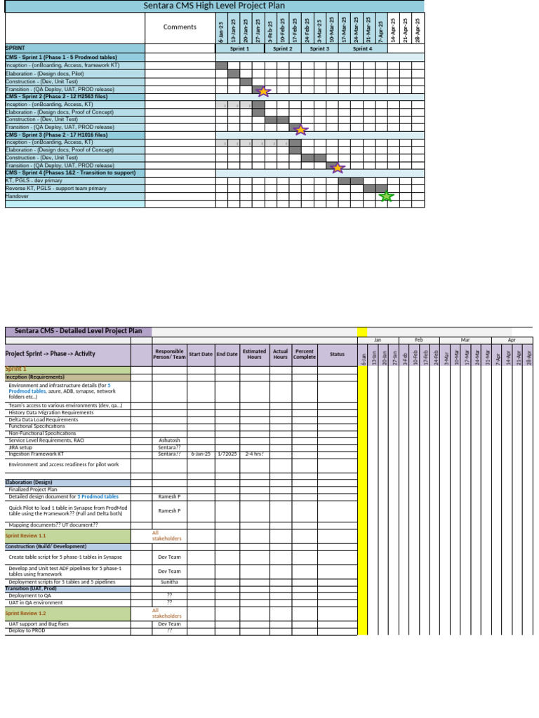 CMS Project Plan - Draft - v0.1 - 30dec2024 | PDF | Systems ...