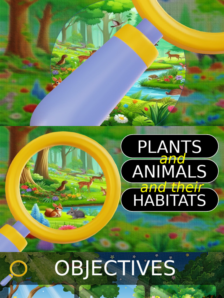 Plants and Animals and Their Habitats Fina | PDF | Coast | Habitat