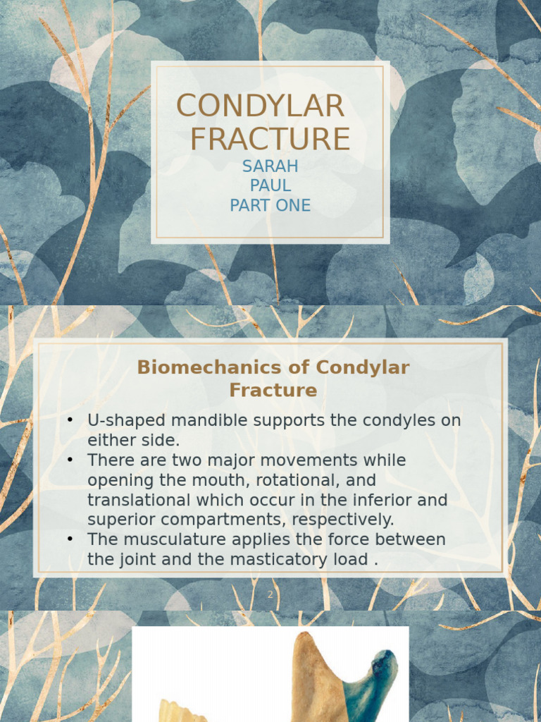 Condylar Fracture: Mechanisms & Management | PDF | Human Anatomy ...