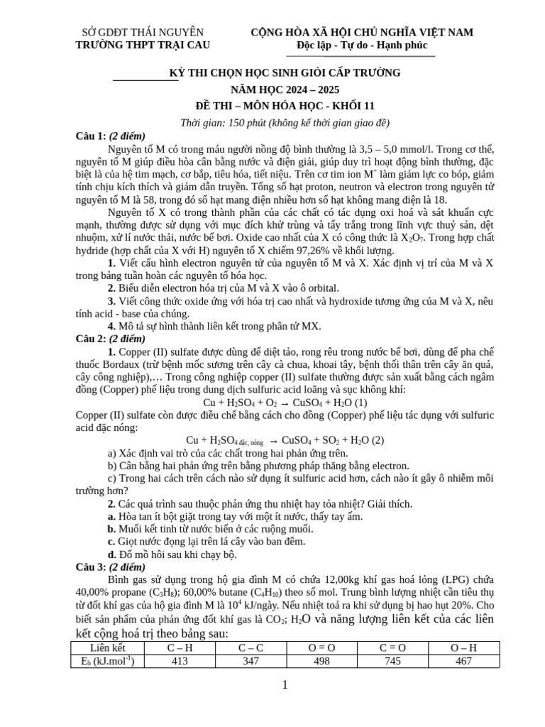 ĐỀ THI HSG CAP TRUONG- HÓA HOC- LOP 11- 2024- 2025 | PDF
