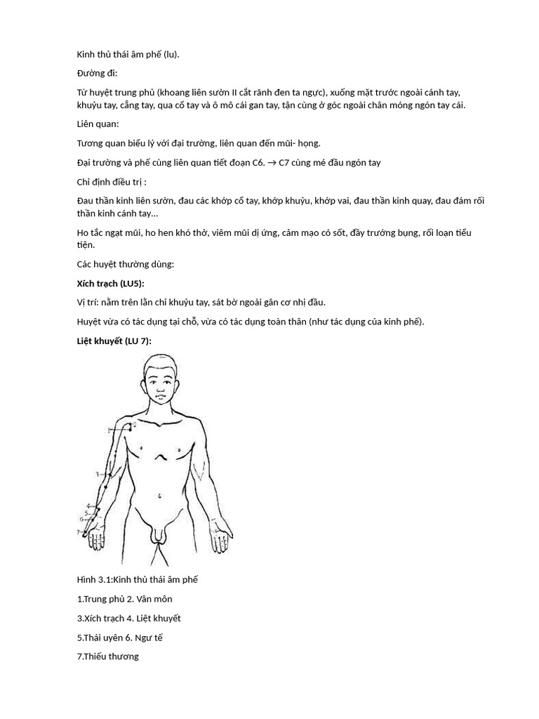 Kinh thủ thái âm phế | PDF