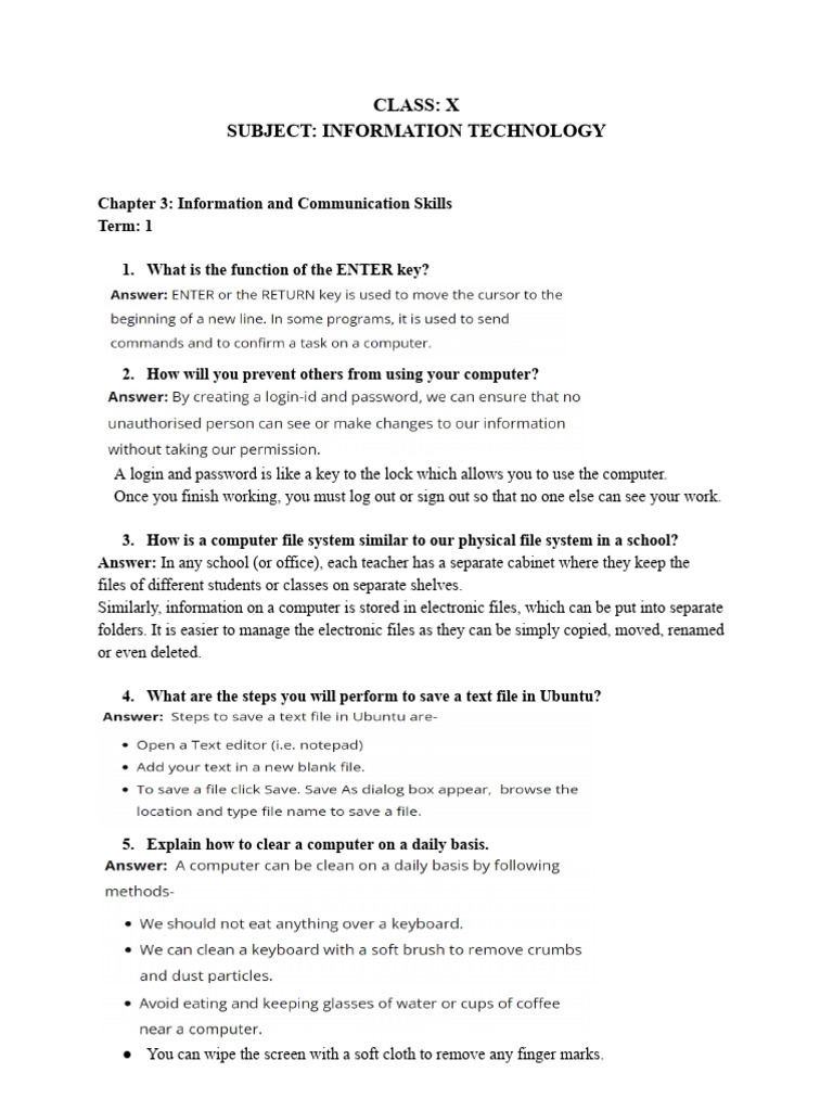 X IT CH3 (ICT Skills) Homework | PDF