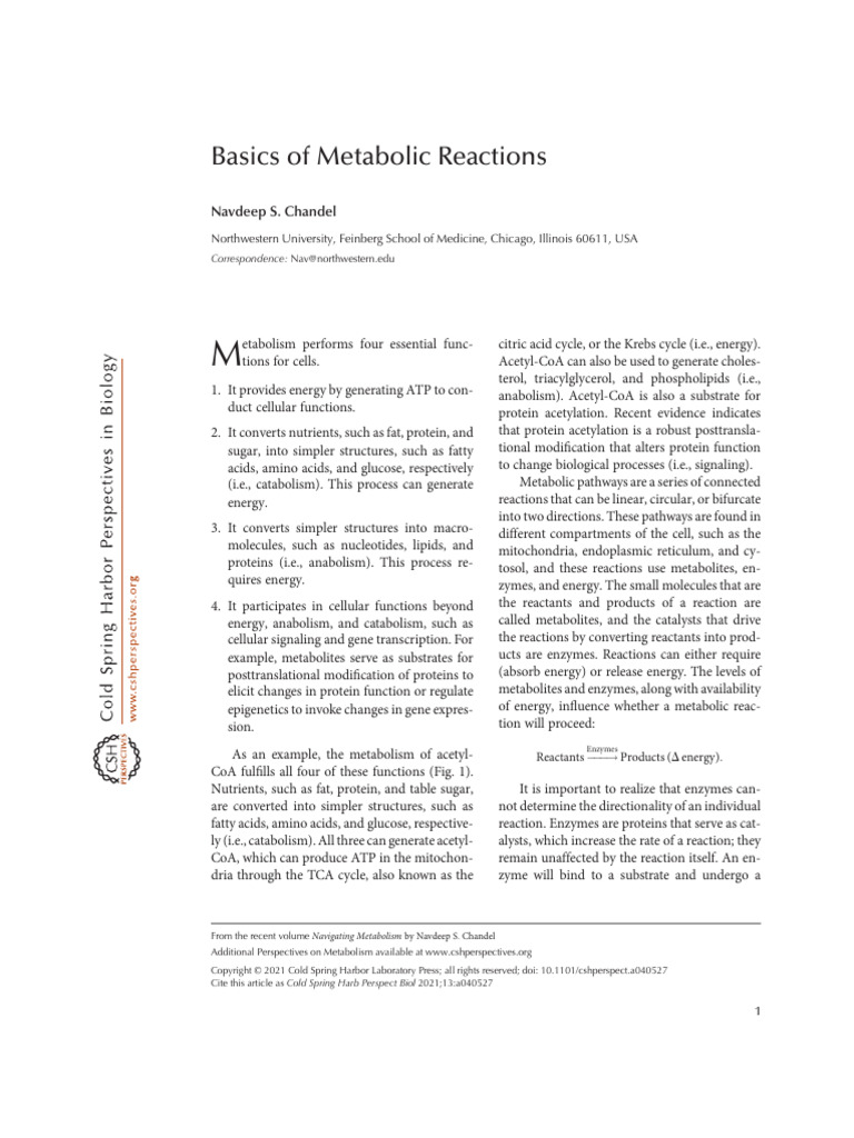 Basics of Metabolic Reactions | PDF | Metabolism | Gibbs Free Energy