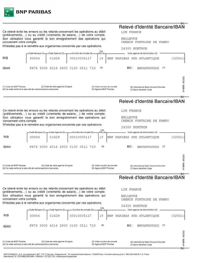 Rib BNP Lim France | PDF