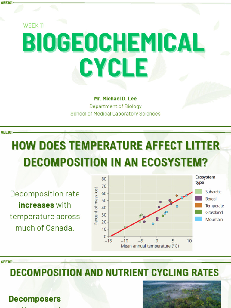 Week 11 Biogeochemical Cycle 1 | PDF | Ecosystem | Decomposition