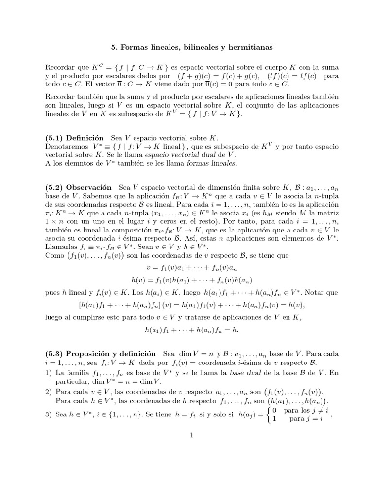 Formas Lineales y Bilineales en Espacios Vectoriales | PDF | Mapa ...