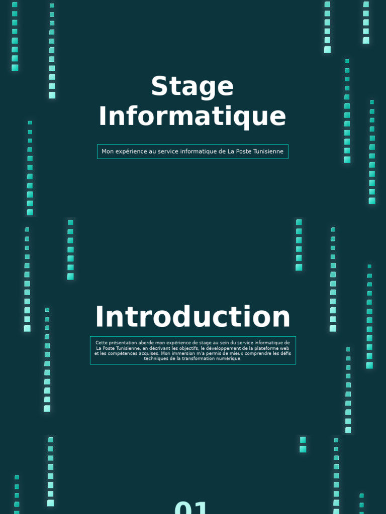Stage Informatique | PDF | Informatique | Gestion de projet