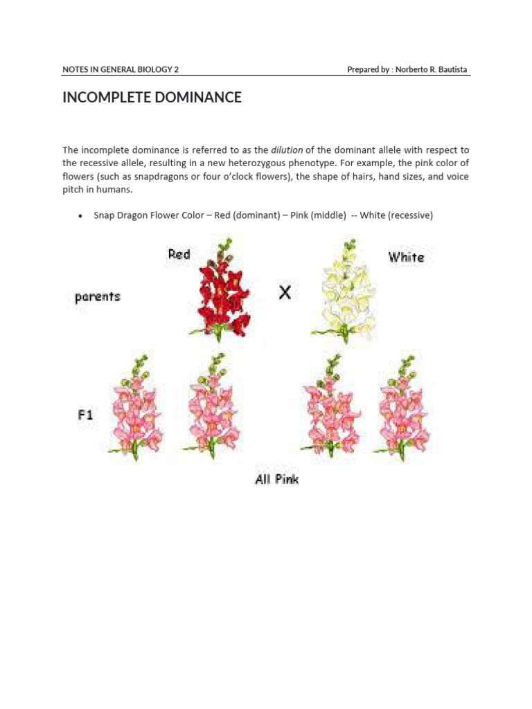 Incomplete Dominance | PDF | Dominance (Genetics) | Allele
