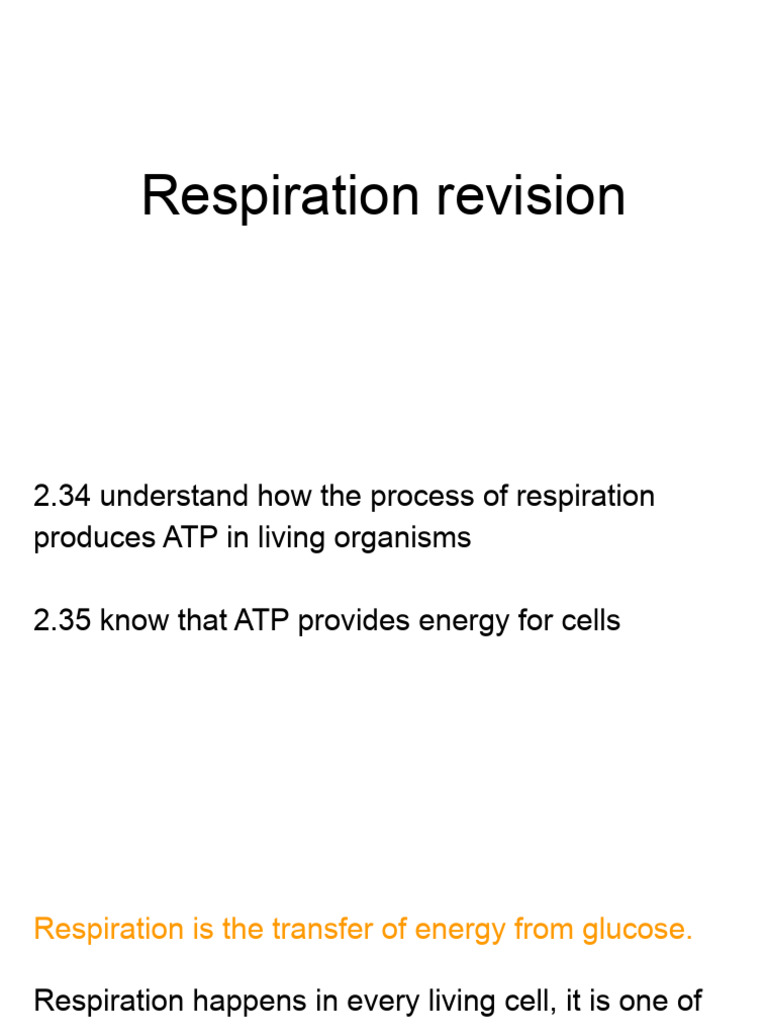 Respiration Revision | PDF | Breathing | Respiratory System