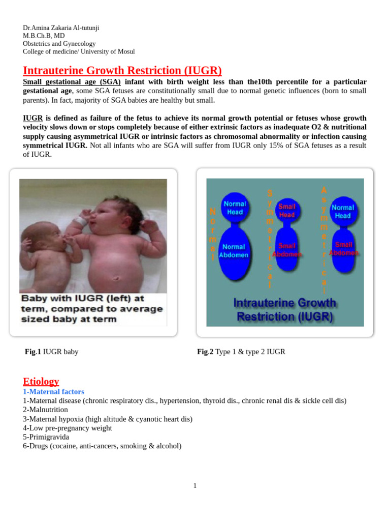 IUGR | PDF | Fetus | Prenatal Development