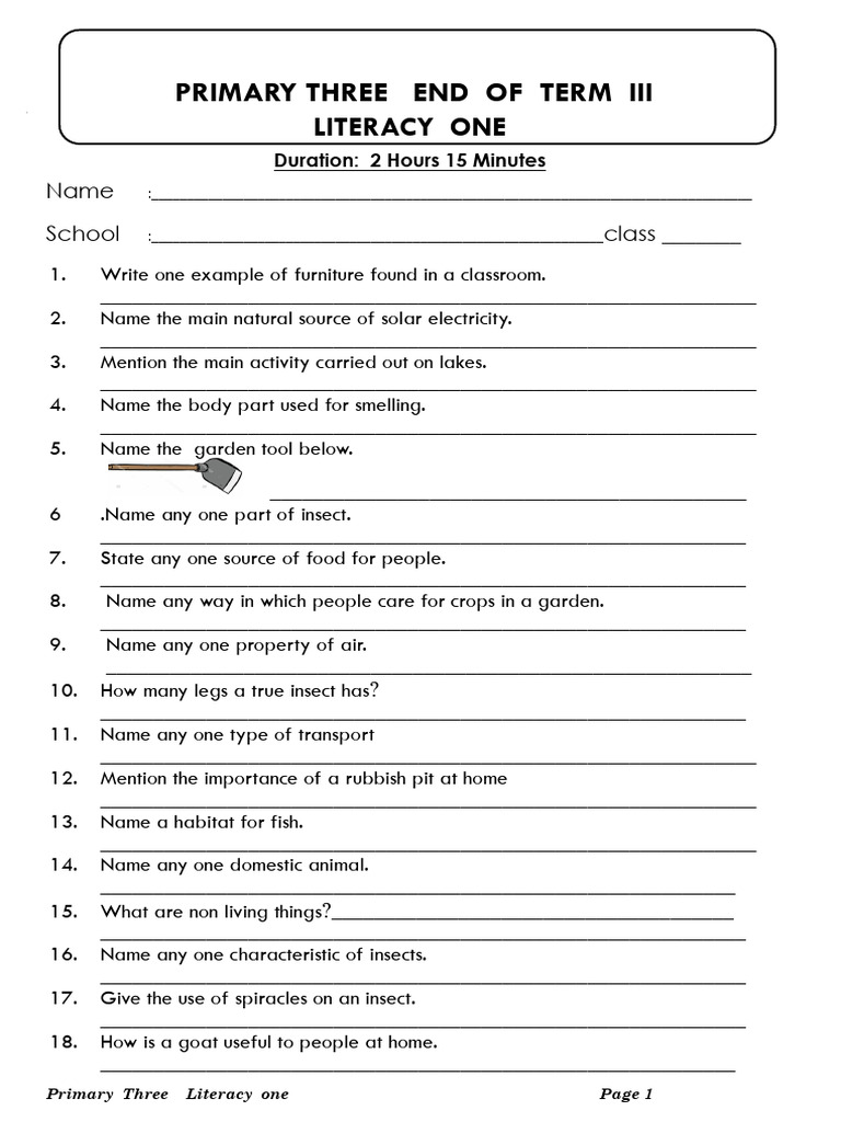 Primary Three Literacy One | PDF | Insects | Agriculture