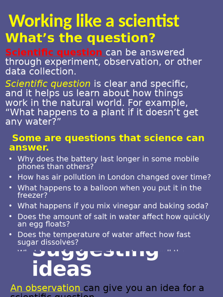 Working Like A Scientist | PDF | Flowers | Petal