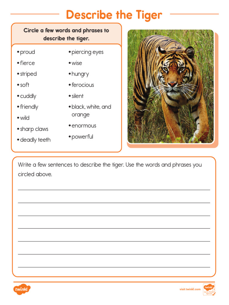 Describe The Tiger Activity | PDF