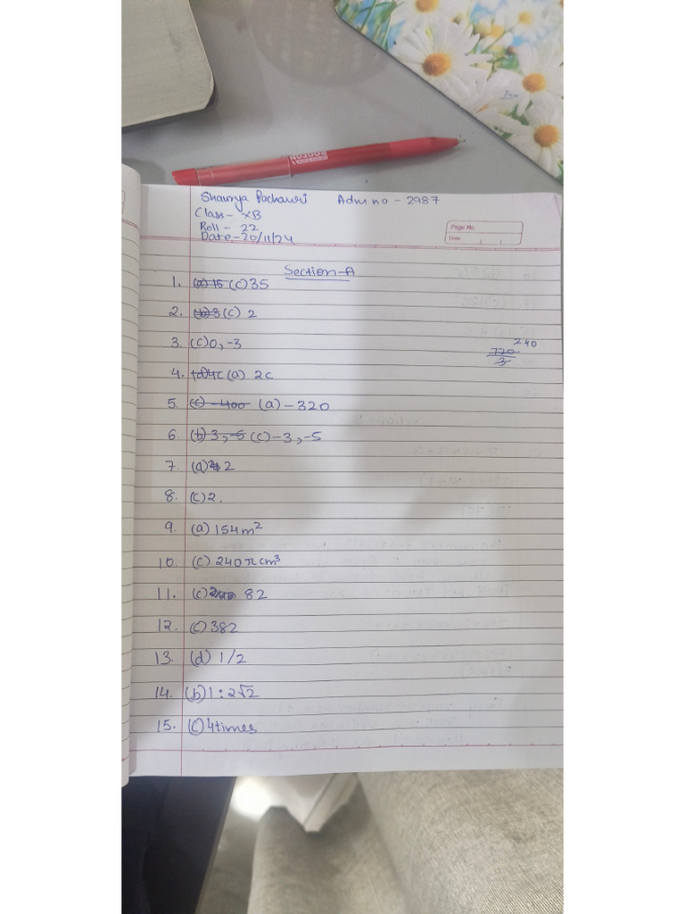 Shaurya Pachauri 10b Maths | PDF