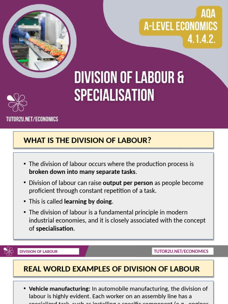 Understanding Division of Labour and Specialisation | PDF | Division Of ...