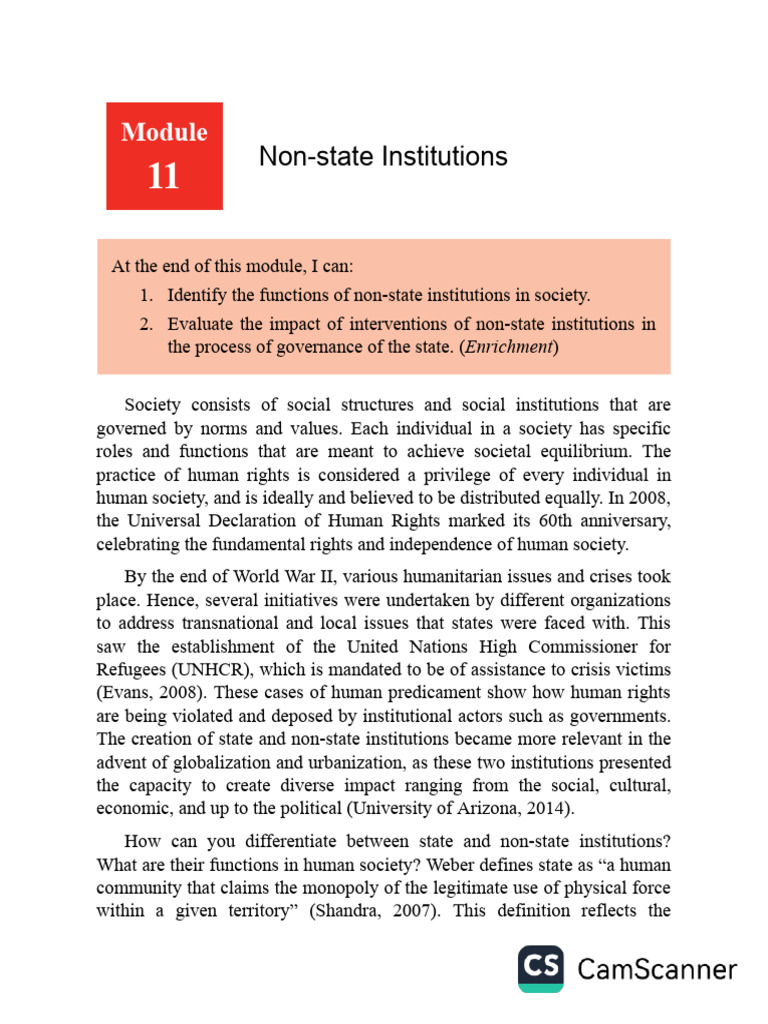 Module 11 Non State Institutions | PDF | Banks | Institution