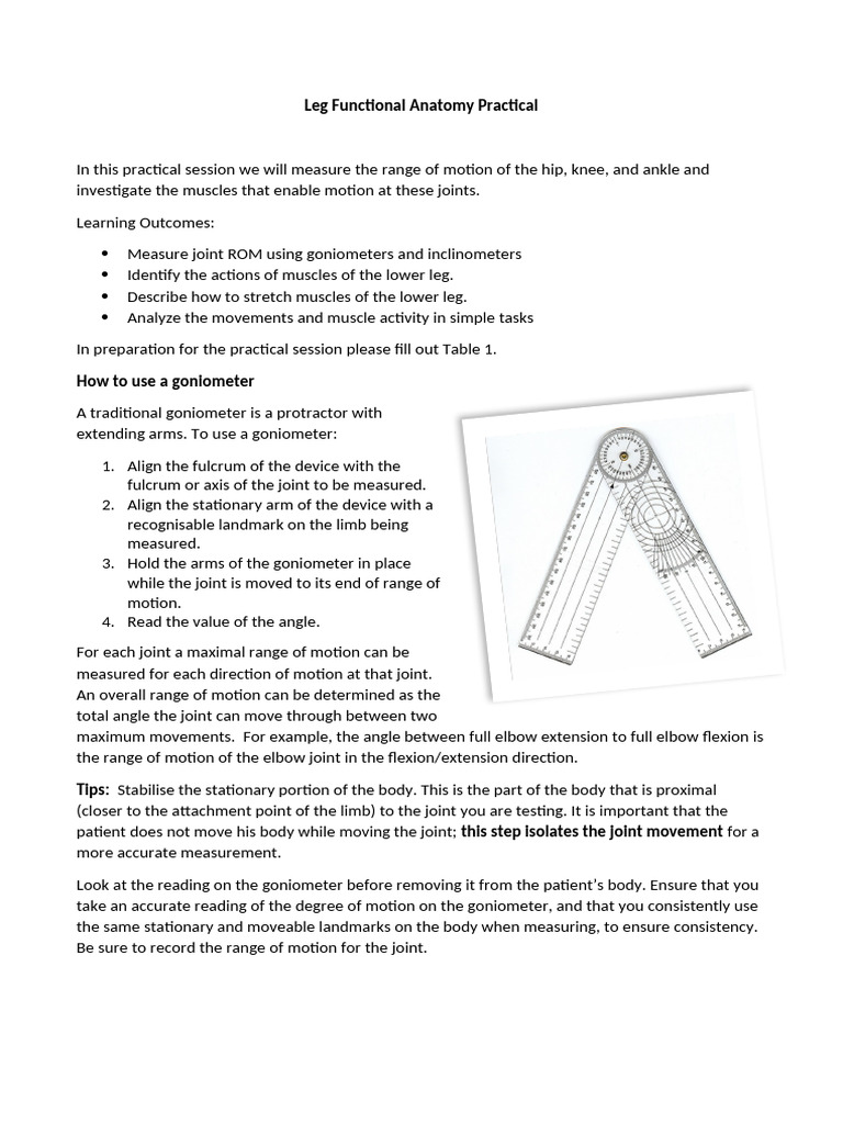 Functional Anatomy Pelvis And Leg Updated V4 For 2024 Pdf