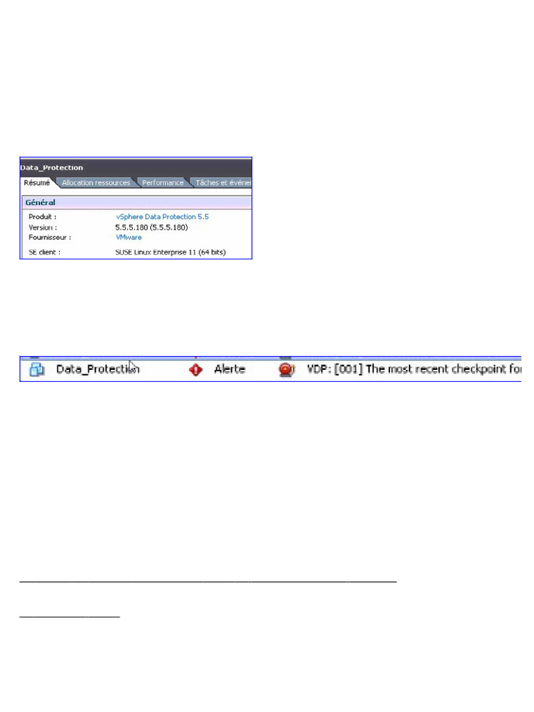 vdp_fix_error_outdated_checkpoint | PDF | Computer Architecture | Computer Data