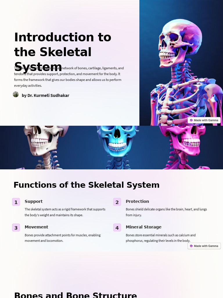 Introduction To The Skeletal System | PDF | Bone | Skeleton