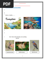 Roles of Organisms in Ecosystems | PDF | Foods | Ecosystem