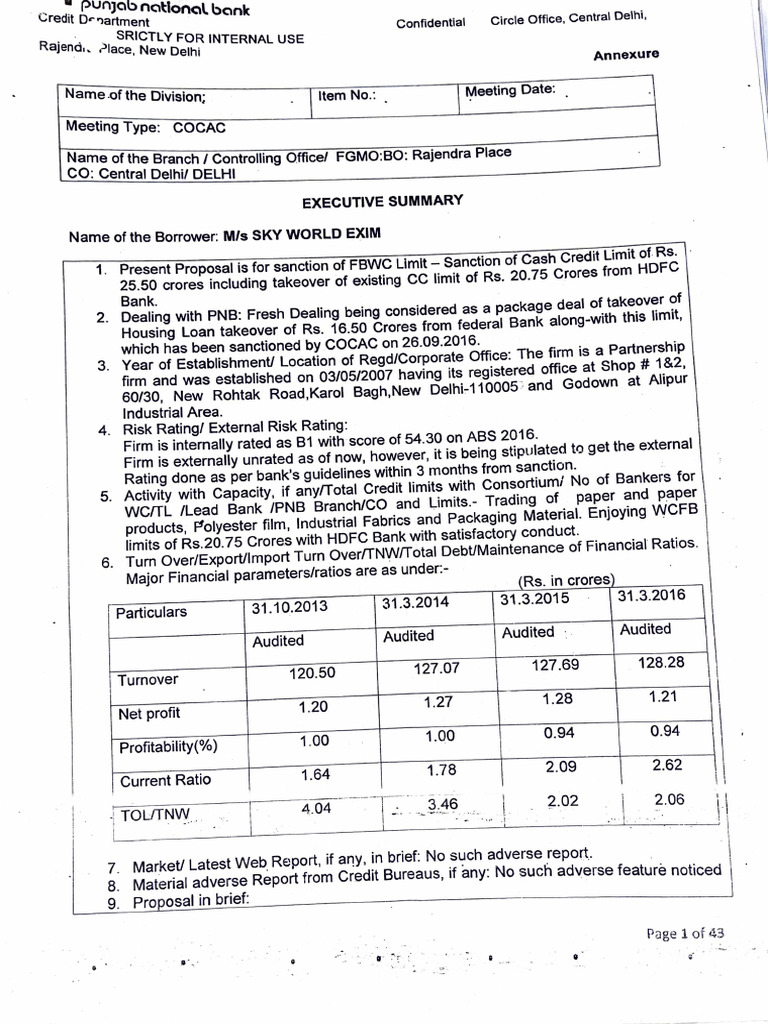 PNB Loan Proposal for SKY WORLD EXIM | PDF | Liability (Financial ...