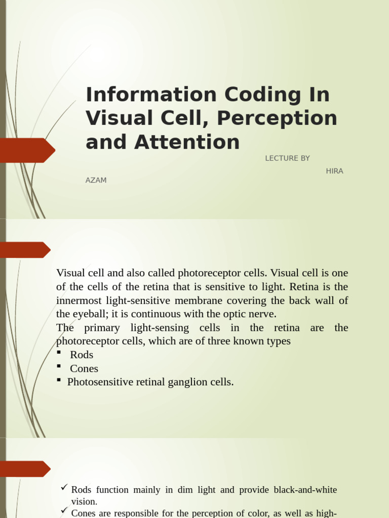 Information Coding in Visual Cell, Perception and | PDF | Visual Perception | Color