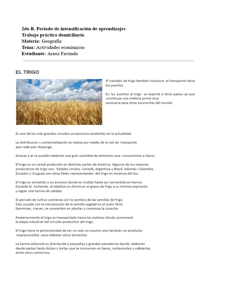 2do B - Trabajo Pr-Ctico Domiciliario. Araoz | PDF