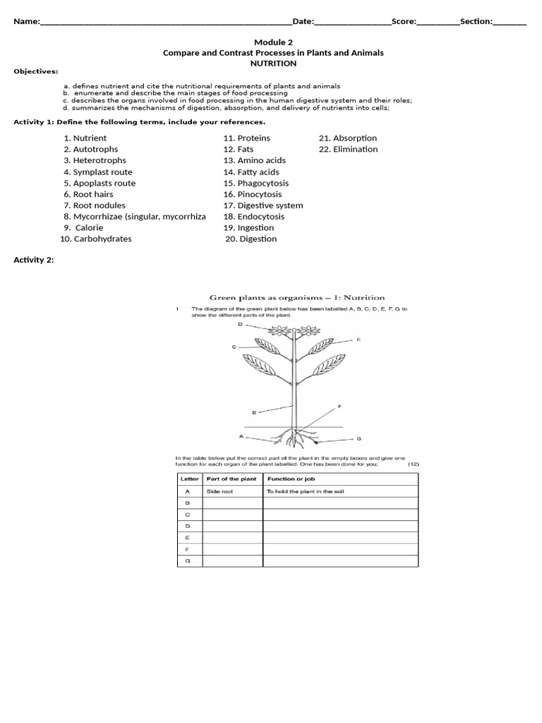 Gen - Bio2 Module 2 Activities | PDF