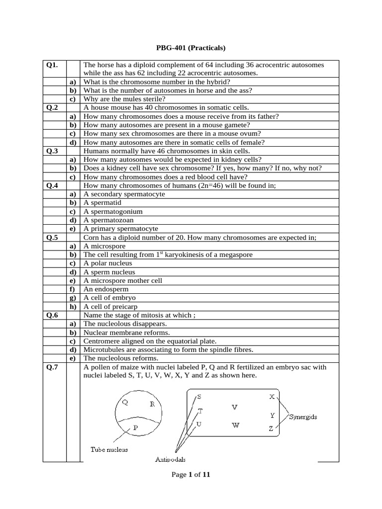 PBG-301 (Numerical Problems) | PDF | Dominance (Genetics) | Genotype