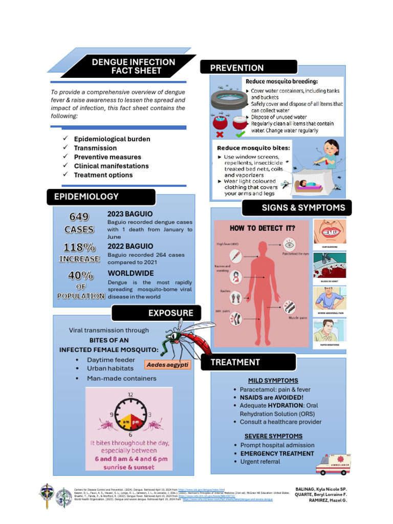 Dengue Infection Prevention Guide | PDF | Public Health | Human ...