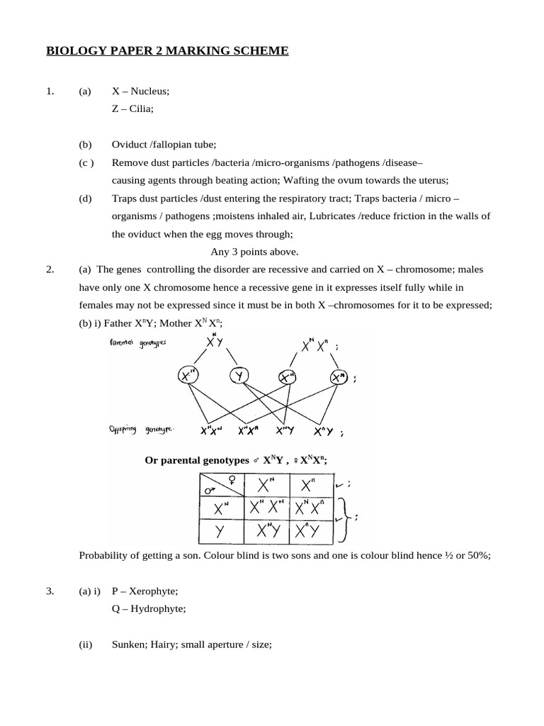 F4 Bio PP2 MS | PDF | Stomach