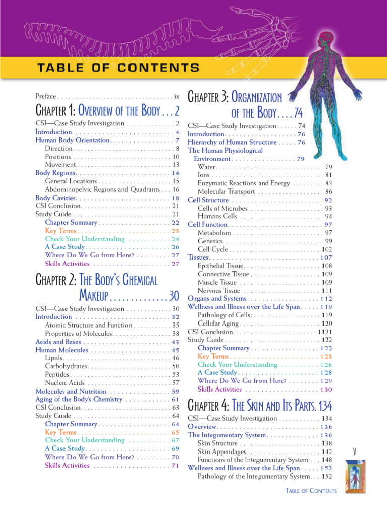 Anatomy & Physiology Chapters | PDF