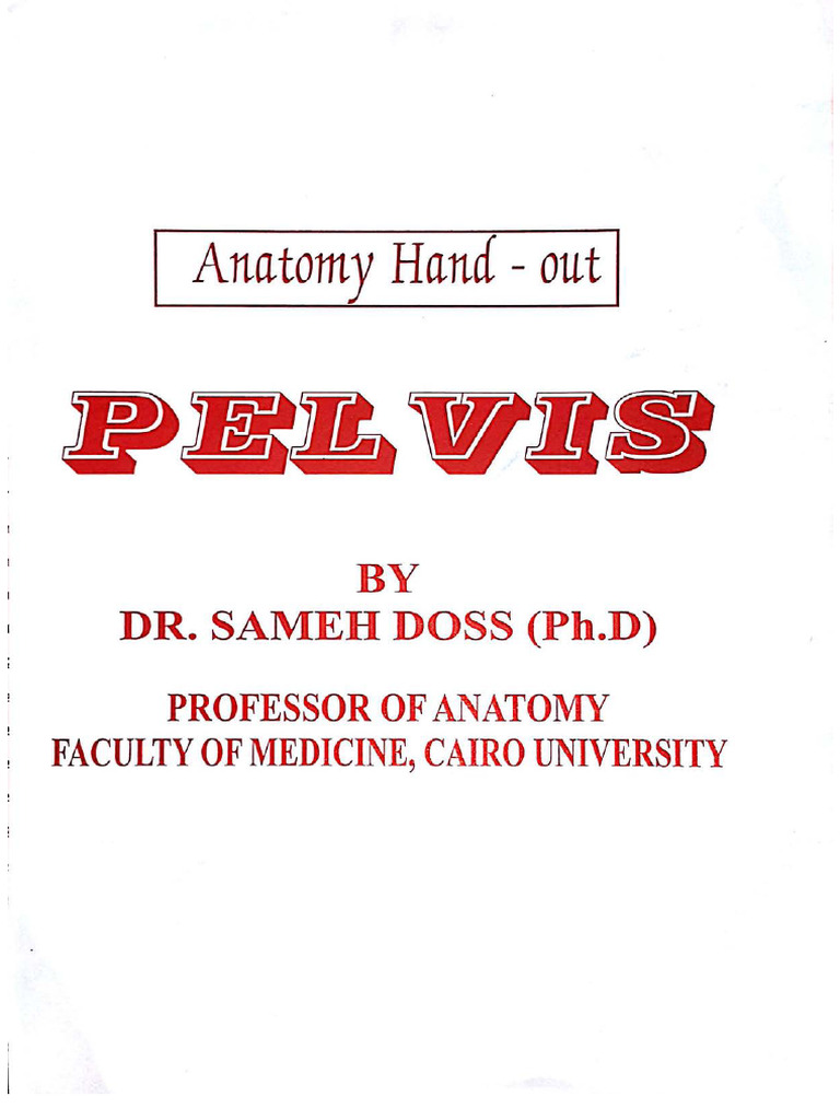 Anatomy SD Pelvis Sameh Doss | PDF