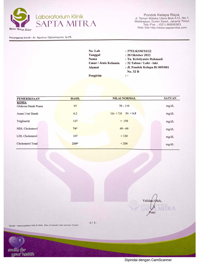 Hasil Lab Gula & Kolesterol Sapta Mitra | PDF